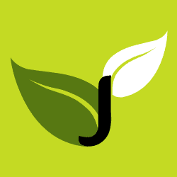 O que é Aquênio - Jardineiro.net