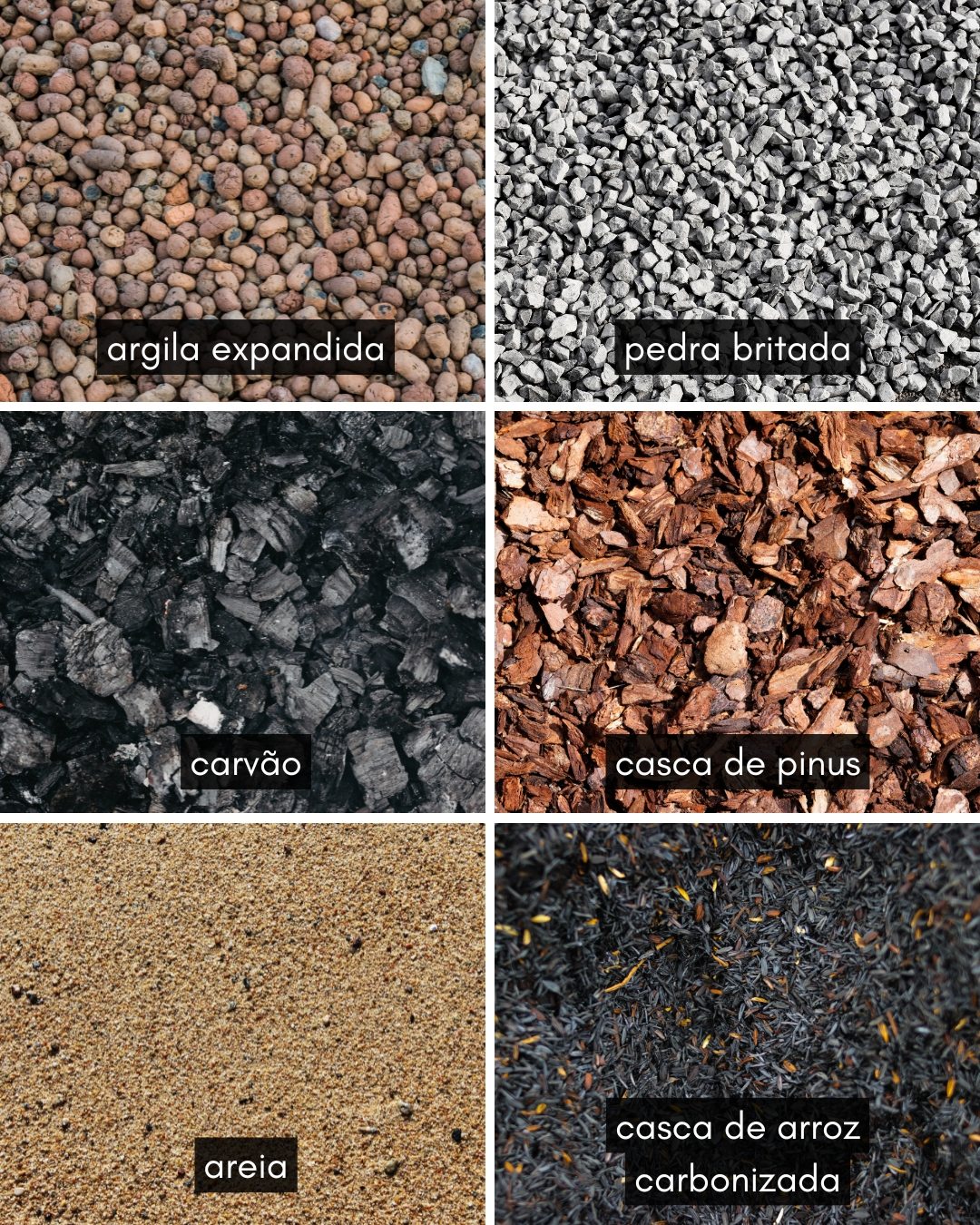 Faça você mesmo: Substrato Ideal para Plantas de dentro de Casa ...