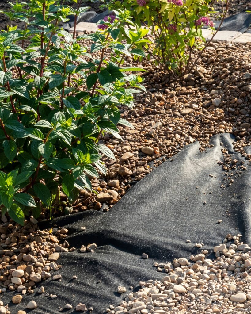 Jardim em Talude: Guia de Design e Plantio - Jardineiro.net
